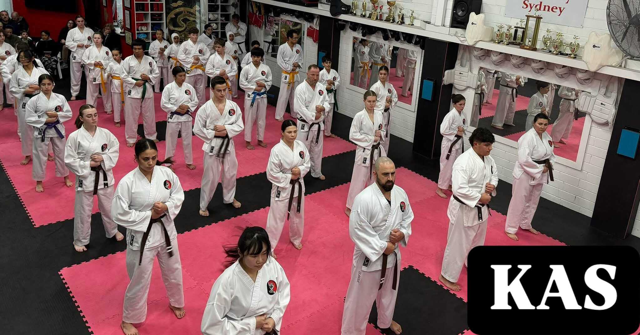 Sports Karate vs Traditional Goju Ryu Karate – What’s the Difference? | Karate Academy Sydney